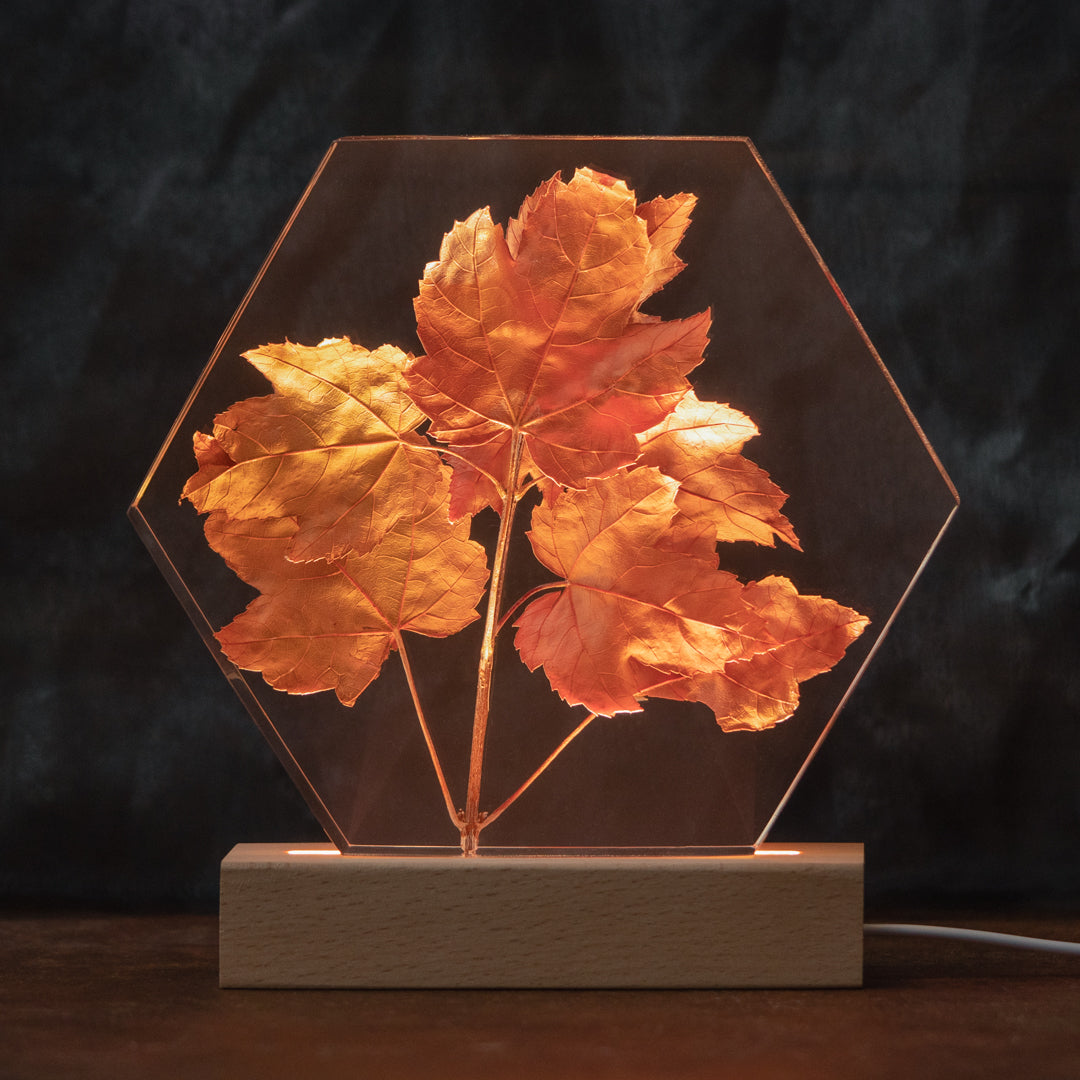 LED Lamp Bases for Resin Art – Premium Beech Wood | Art Tree Creations